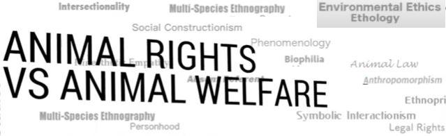 Animal rights or animal welfare? – Postprandial Musings, 2.0